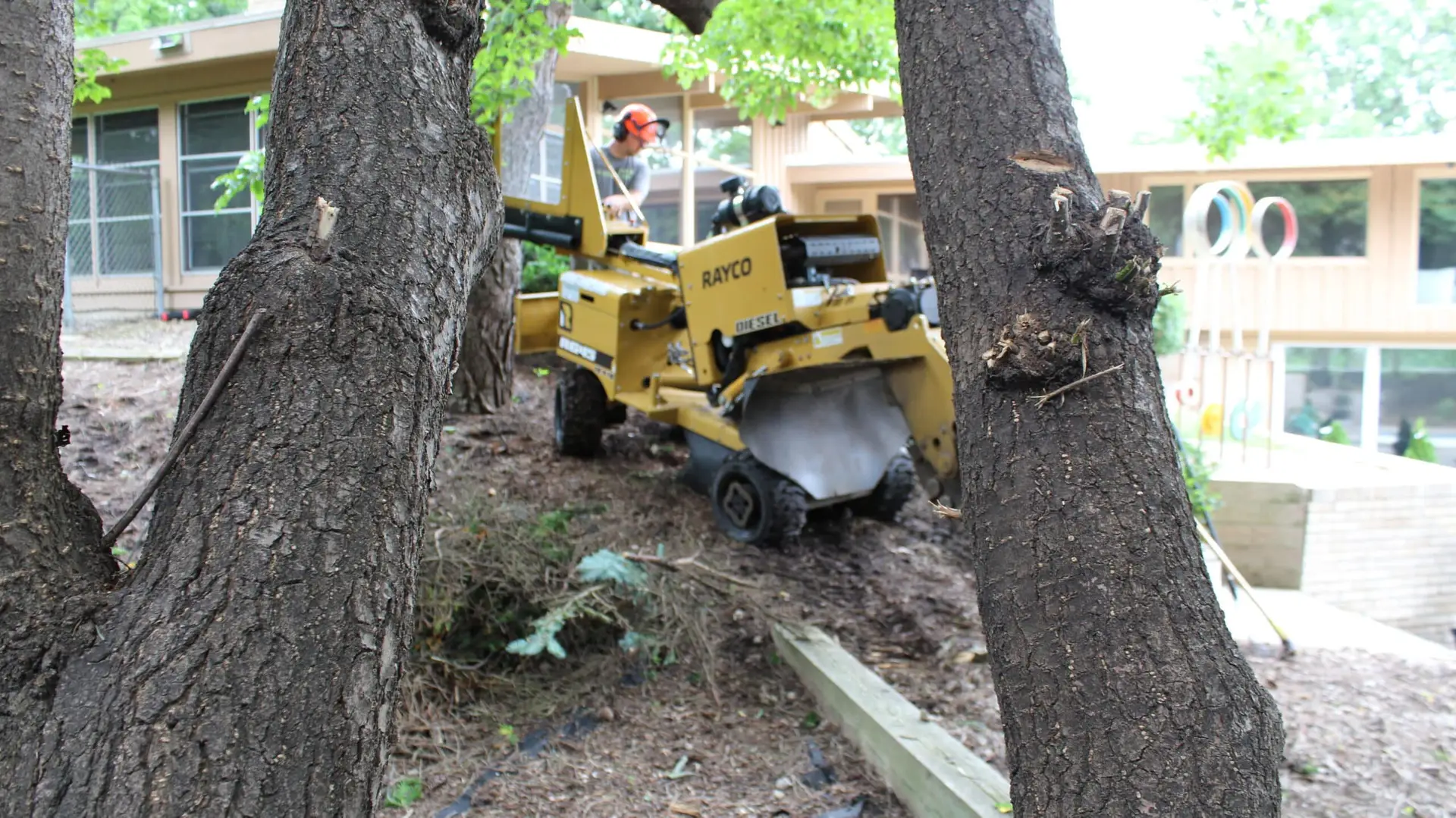 Reclaim Your Yard - Stump Grinding - Urban Tree